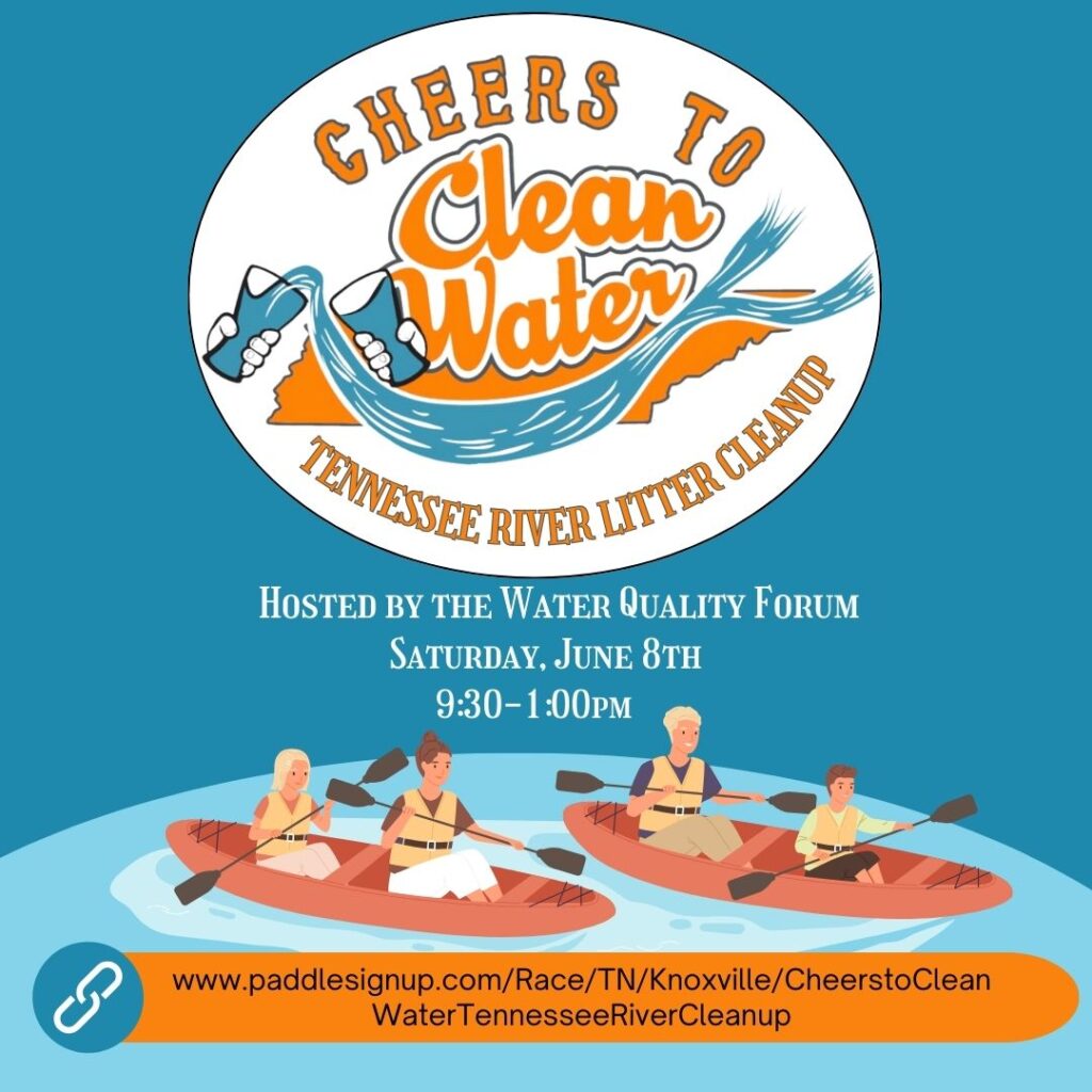 Cheers to Clean Water: Clean-Up Presented by the Water Quality Forum ...